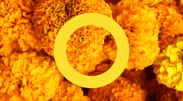 Diversity, equity and inclusion | Ogier